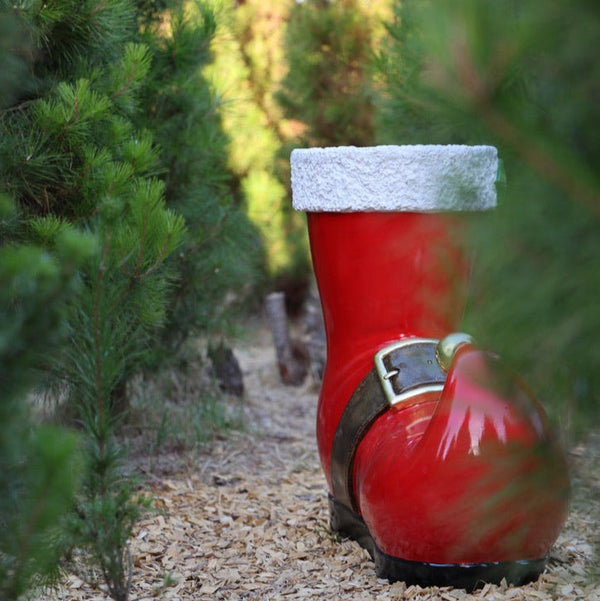 Santa Photos Adelaide – Magical Christmas Experience at The Christmas